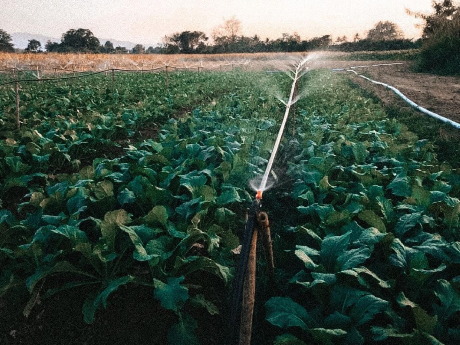 การพัฒนาเศรษฐกิจชุมชนบนฐานเกษตรอินทรีย์ และสร้างมูลค่าเพิ่มผลผลิตสู่สินค้า OTOP เชื่อมโยงการท่อง ...